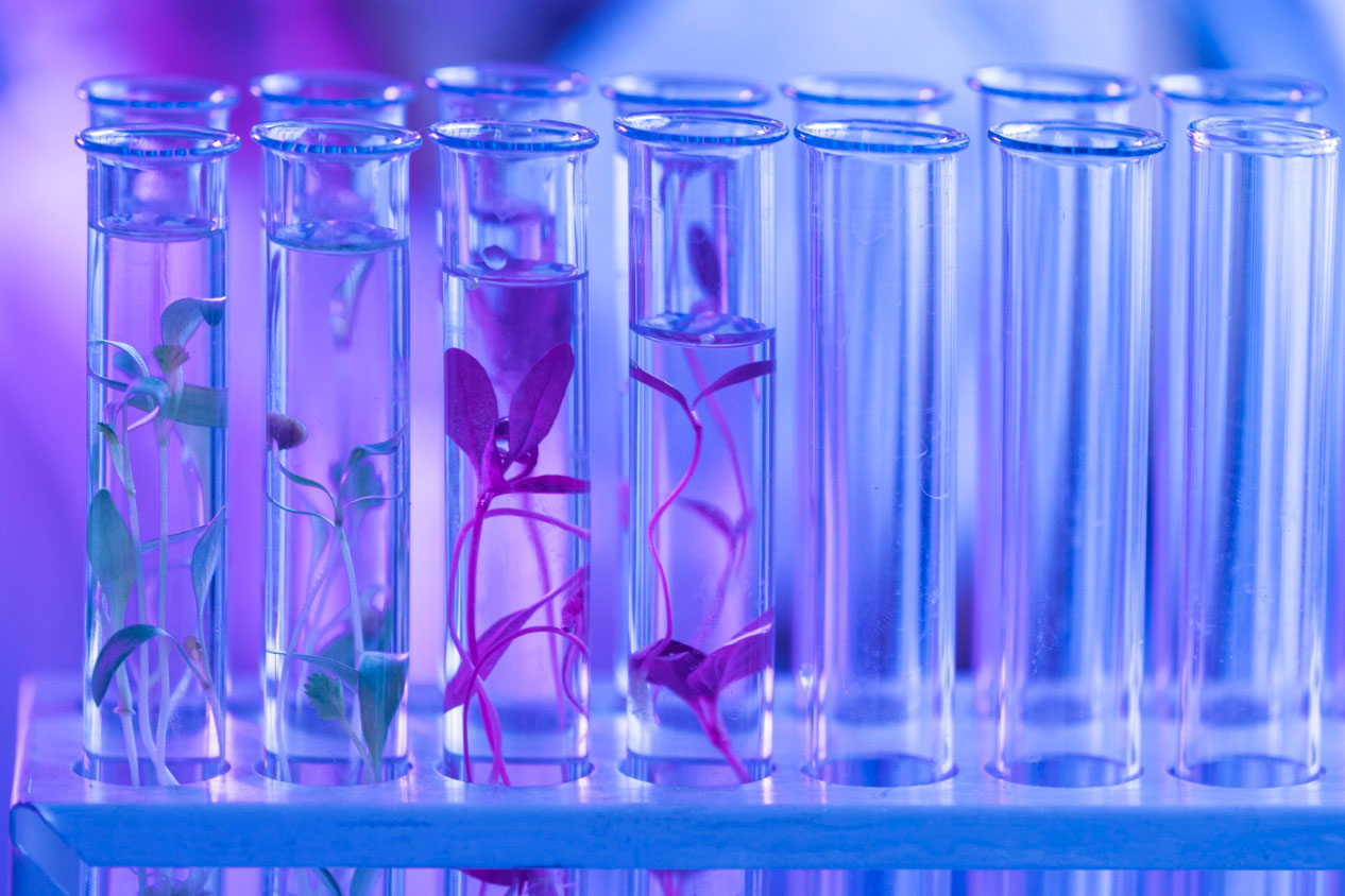 Home – EU Biotech and Life Sciences Alliance